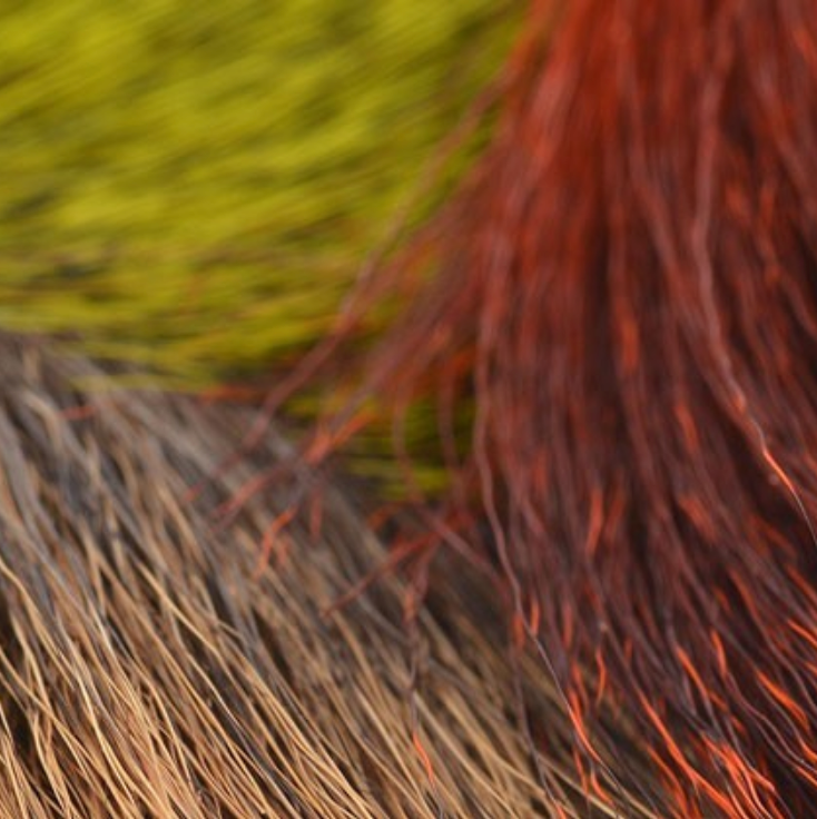 Hair & Fur – Perfect Hatch