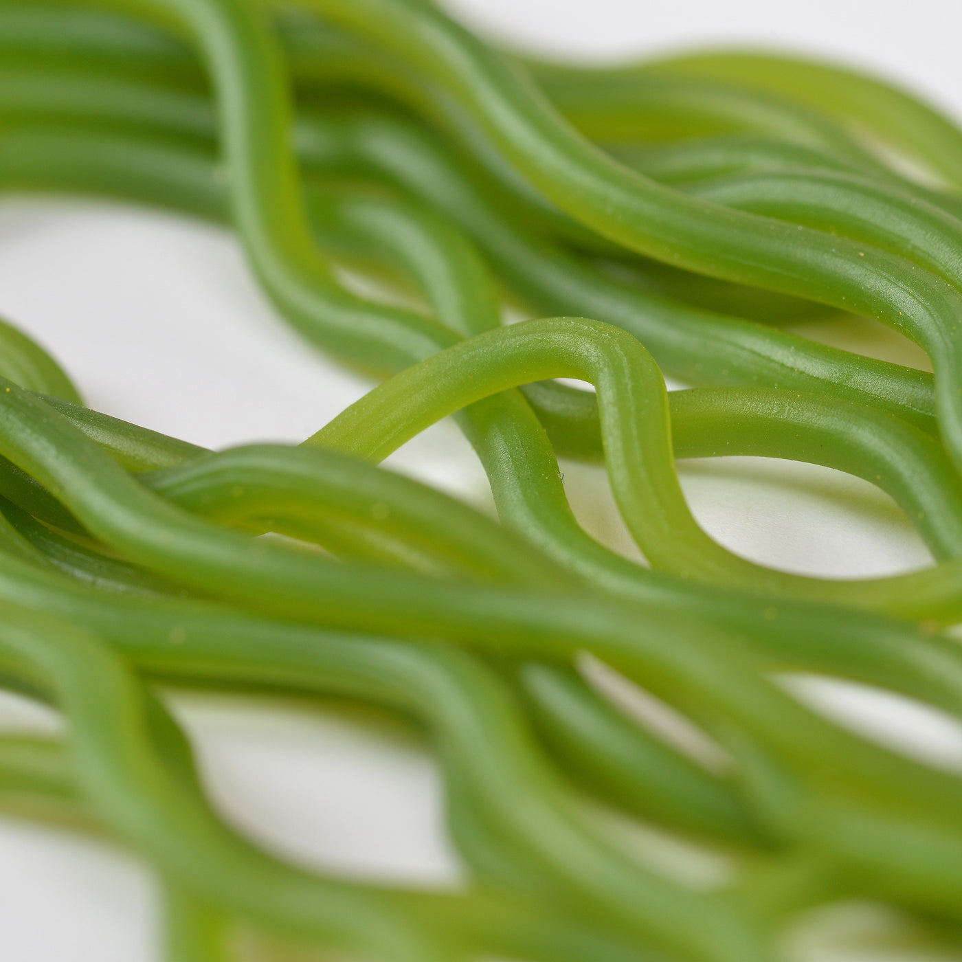 Sili Worms – Perfect Hatch