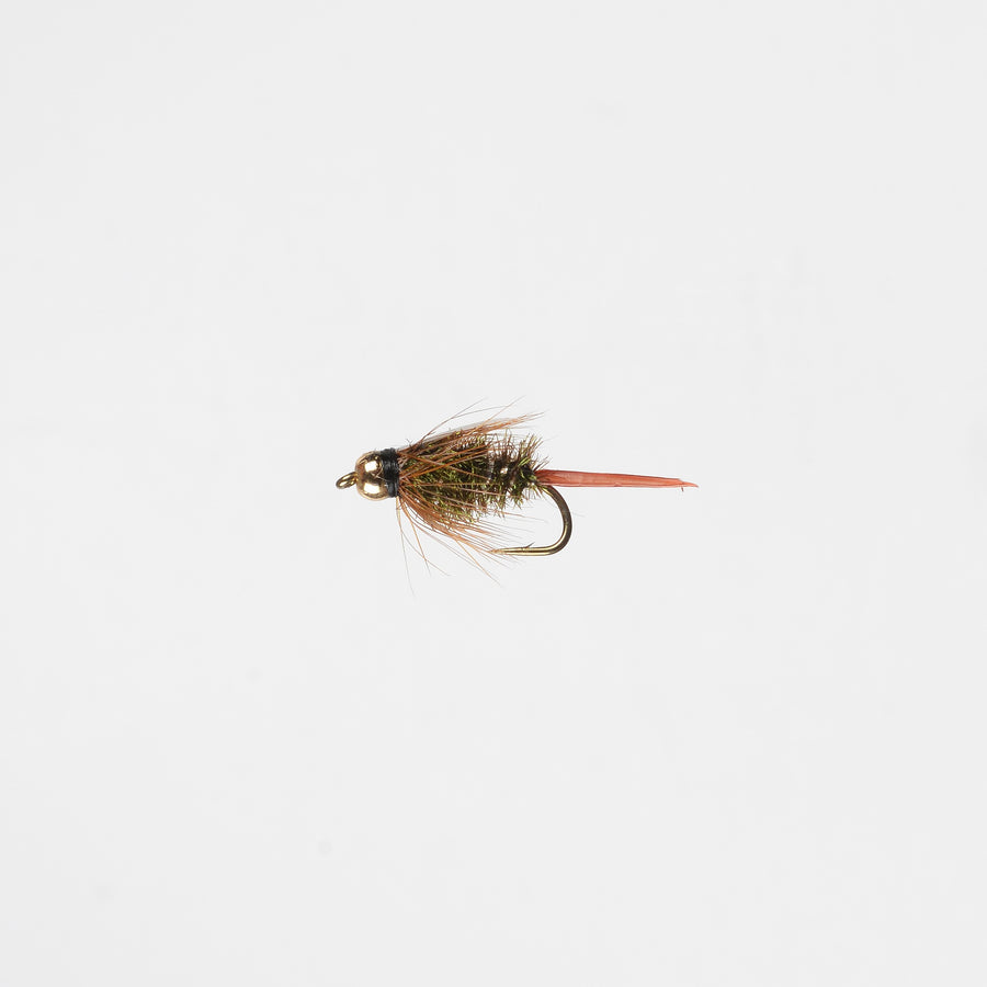 Nymphs – Perfect Hatch